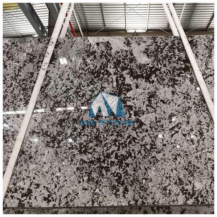 Splendor White Granite Slabs - China's leading stone supplier - MQ STONE